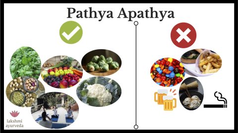 Ayurveda Concept Of Pathya Apathya | Concept of Favorable and Unfavorable